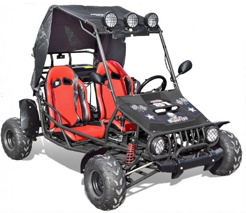 Buggy 125cc noir 4T 2 places | LesTendances.fr